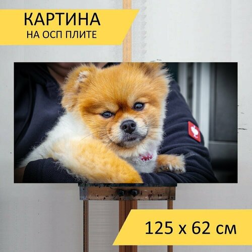 Картина на ОСП 125х62 см. "Собака, небольшой, уютный" горизонтальная, для интерьера, с креплениями