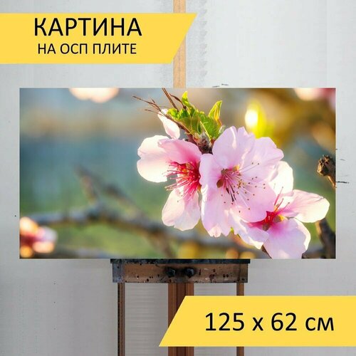 Картина на ОСП 125х62 см. "Цветок миндаля, цвести, цветок" горизонтальная, для интерьера, с креплениями