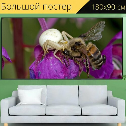 Большой постер "Паук, пчела, насекомое" 180 x 90 см. для интерьера