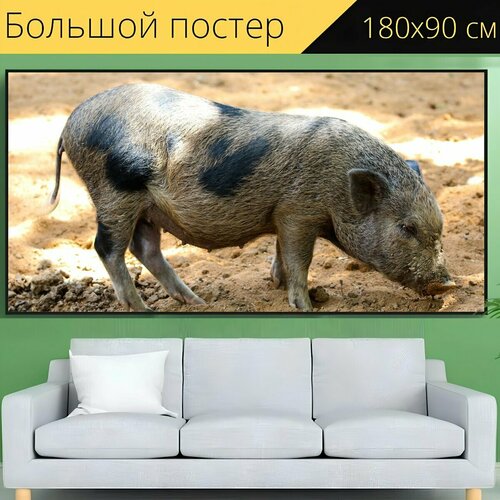 Большой постер "Дикая природа, домашнее животное, свинья" 180 x 90 см. для интерьера
