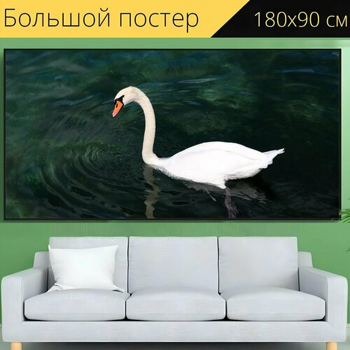 Большой постер "Лебедь, озеро, птица" 180 x 90 см. для интерьера