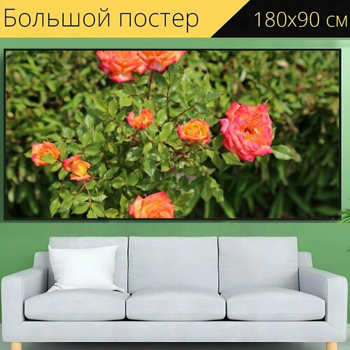 Большой постер "Роуз, сад роз, трава" 180 x 90 см. для интерьера