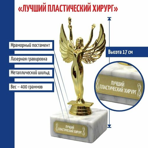 Подарки Статуэтка Ника "Лучший пластический хирург" (17 см)