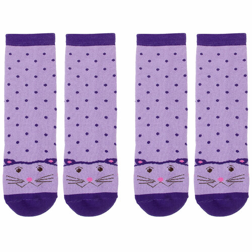 Носки Альтаир 2 пары, размер 22, фиолетовый