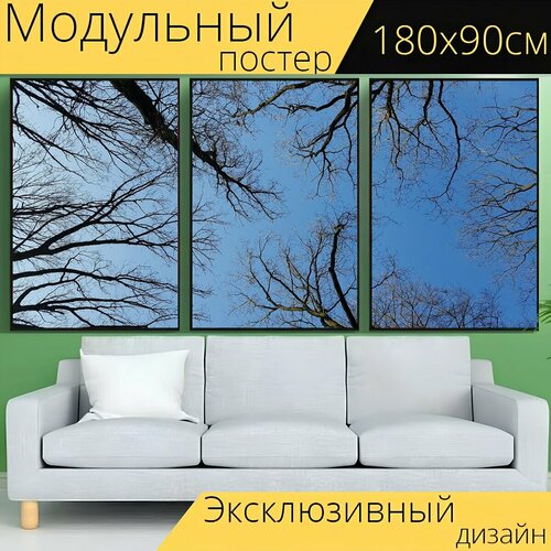 Модульный постер "Голубое небо, ветви, деревья" 180 x 90 см. для интерьера