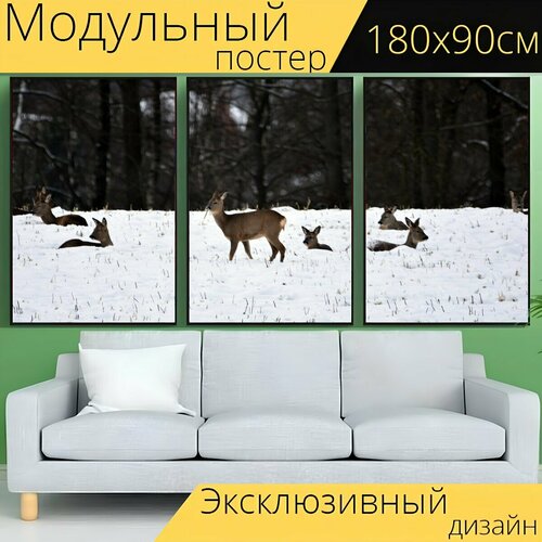 Модульный постер "Зима, косуля, животные" 180 x 90 см. для интерьера