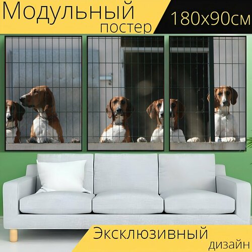 Модульный постер "Собака, млекопитающее, собачий" 180 x 90 см. для интерьера