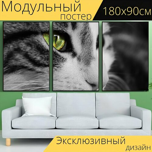 Модульный постер "Кошка, лицо, монохромный" 180 x 90 см. для интерьера