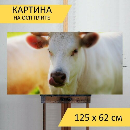 Картина на ОСП 125х62 см. "Корова, млекопитающее, говядина" горизонтальная, для интерьера, с креплениями
