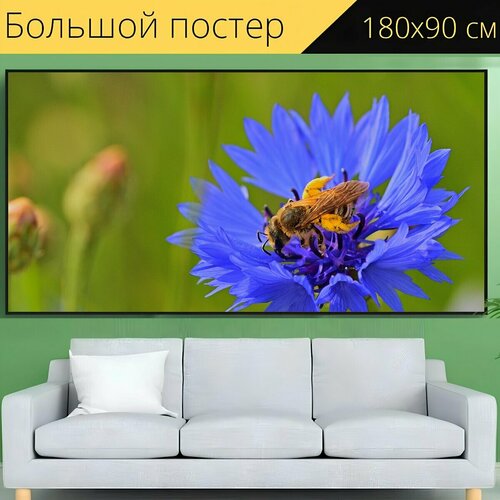 Большой постер "Васильковый, цвести, брюки пчела" 180 x 90 см. для интерьера