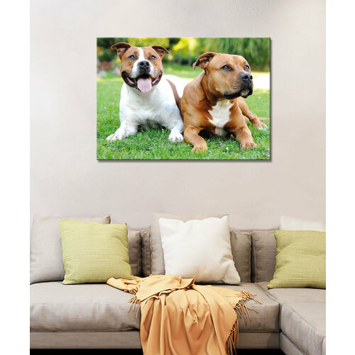 Картина - Американский стаффордширский Терьер, амстафф терьер, собаки терьер, порода стафф терьер (5) 50х70