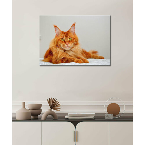 Картина - кошка, мейн-кун, домашняя кошка, ласковая кошка, кот (280) 40х60