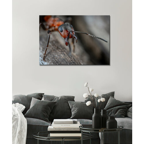 Картина -Муравей, муравей макро, муравей близко (23) 50х70