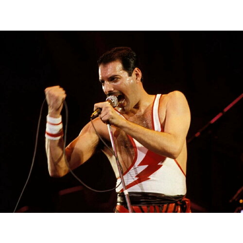 Плакат, постер на холсте Freddie Mercury/Фредди Меркьюри/музыкальные/поп исполнитель/артист/поп-звезда/группа. Размер 30 на 42 см