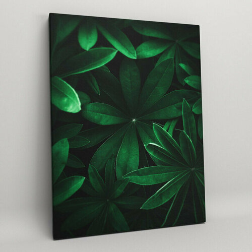 Картина на холсте (интерьерный постер) "Зеленые листья люпины", с деревянным подрамником, размер 45x60 см