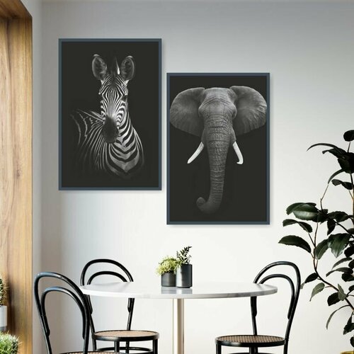 Набор постеров для интерьера Животные: Зебра, Слон 50х70 см в тубусе ПолиЦентр, 2 шт