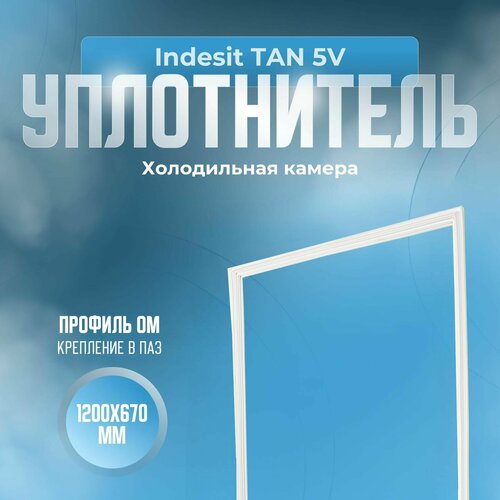 Уплотнитель для холодильника Indesit (Индезит) TAN 5V. (Холодильная камера), Размер - 1200х670 мм. ОМ