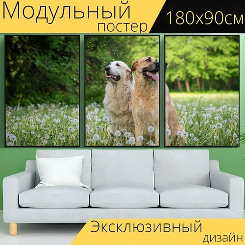 Модульный постер "Собака, луг, цветочный луг" 180 x 90 см. для интерьера