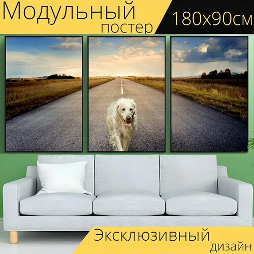 Модульный постер "Собака, животное, дорога" 180 x 90 см. для интерьера