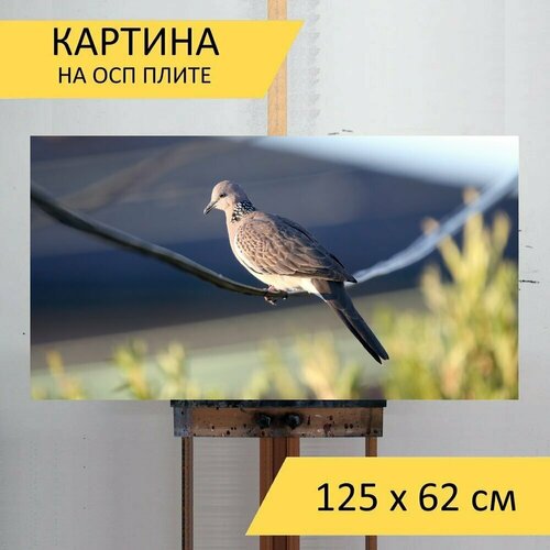 Картина на ОСП 125х62 см. "Птица, голубь, домашняя птица" горизонтальная, для интерьера, с креплениями