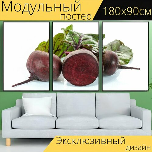 Модульный постер "Красная свекла, овощи, листья" 180 x 90 см. для интерьера
