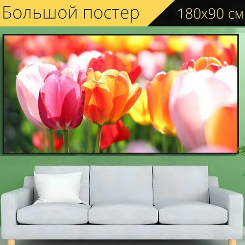 Большой постер "Тюльпаны, красочный, весна" 180 x 90 см. для интерьера