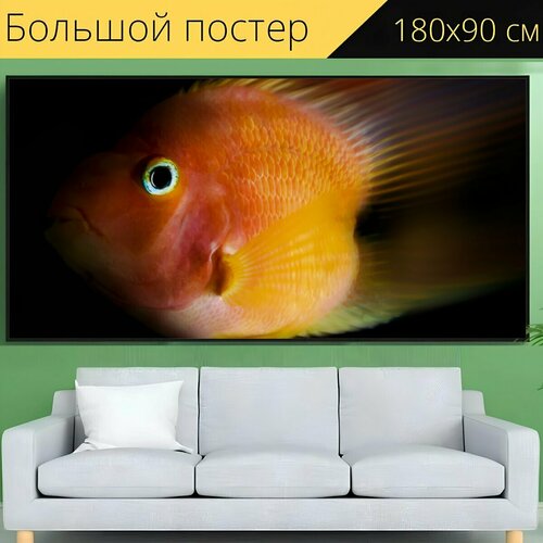 Большой постер "Рыбы, природа, животные" 180 x 90 см. для интерьера
