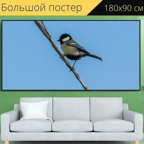 Большой постер "Птицы, природа, дикая жизнь" 180 x 90 см. для интерьера
