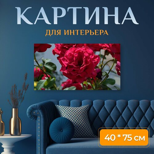 Картина на холсте "Цветы, красные цветки, красивая" на подрамнике 75х40 см. для интерьера