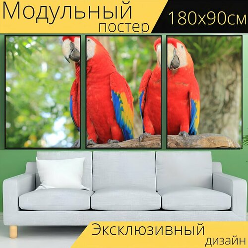 Модульный постер "Попугай, алый ара, птица" 180 x 90 см. для интерьера