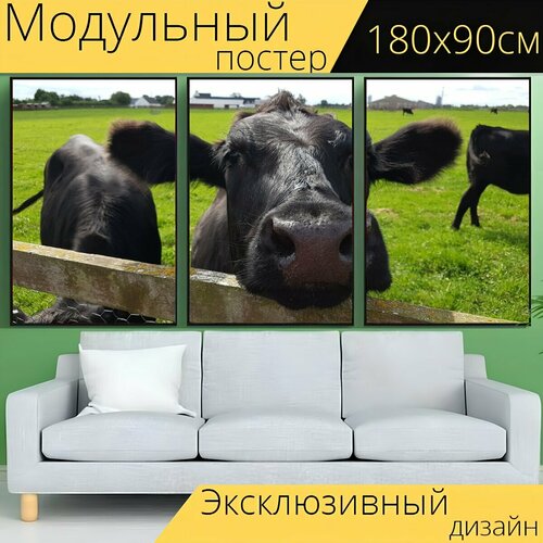 Модульный постер "Животное, корова, ферма" 180 x 90 см. для интерьера