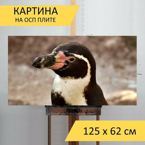 Картина на ОСП 125х62 см. "Пингвин, животное, дикая природа" горизонтальная, для интерьера, с креплениями