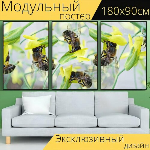 Модульный постер "Пчелы, цветочная пыльца, насекомые" 180 x 90 см. для интерьера