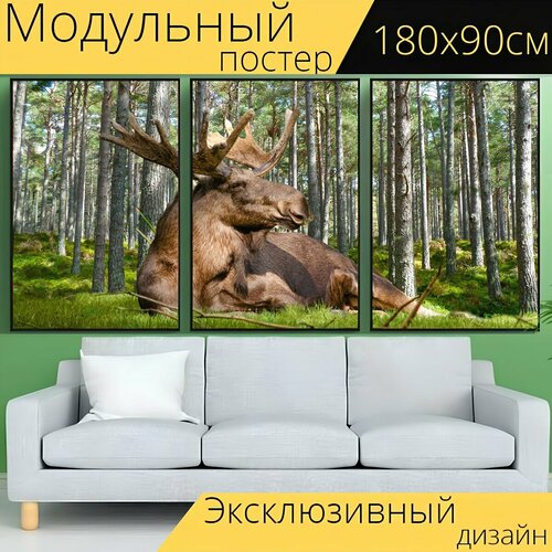 Модульный постер "Лось, лес, природа" 180 x 90 см. для интерьера