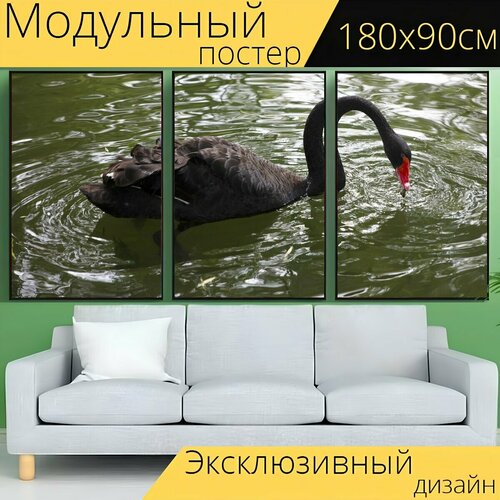 Модульный постер "Лебедь, плавание, озеро" 180 x 90 см. для интерьера