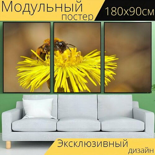 Модульный постер "Пчела, весна, цветок" 180 x 90 см. для интерьера