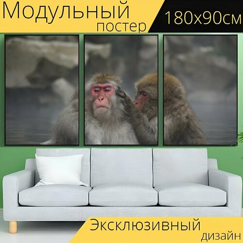 Модульный постер "Животное, обезьяна, детские японские макаки едят листья" 180 x 90 см. для интерьера