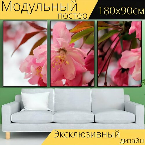 Модульный постер "Цветочное яблоко, весна, дерево" 180 x 90 см. для интерьера
