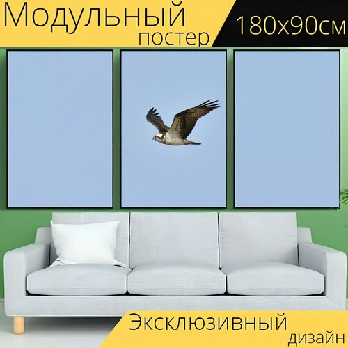 Модульный постер "Животное, небо, птица" 180 x 90 см. для интерьера