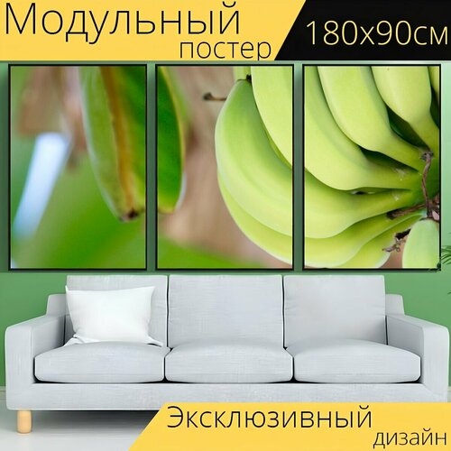 Модульный постер "Кустарник, банан, банановое растение" 180 x 90 см. для интерьера