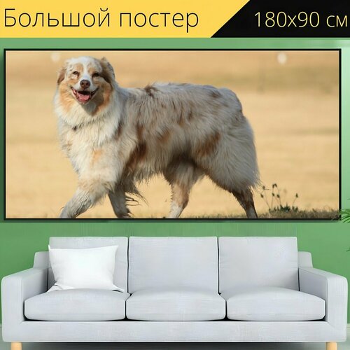 Большой постер "Собака, улыбка, счастливый" 180 x 90 см. для интерьера