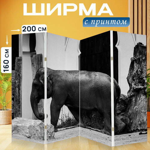 Ширма перегородка с принтом "Слон, животное, африка" на холсте - 200x160 см. для зонирования, раскладная
