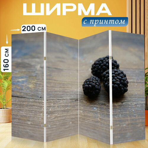 Ширма перегородка с принтом "Ежевика, ягода, фрукты" на холсте - 200x160 см. для зонирования, раскладная