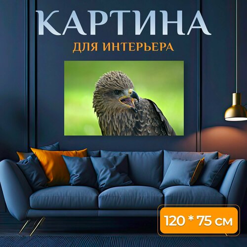 Картина на холсте "Сокол, хищник, птица" на подрамнике 120х75 см. для интерьера