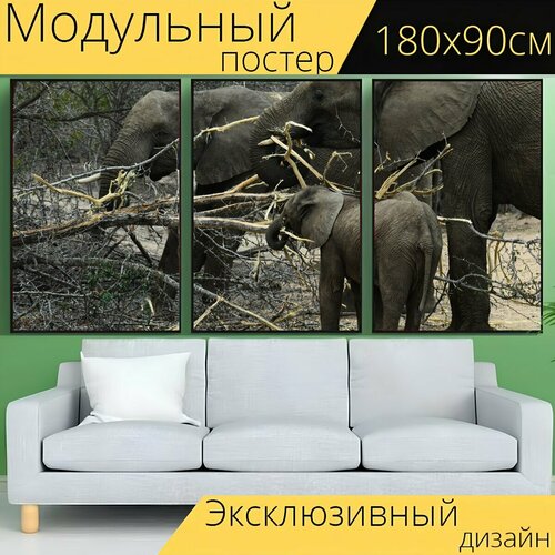 Модульный постер "Слон, слоненок, саванновый африканский слон" 180 x 90 см. для интерьера