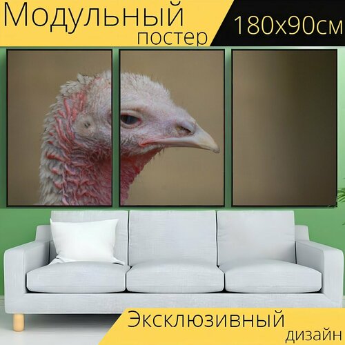 Модульный постер "Турция, птица, благодарение" 180 x 90 см. для интерьера
