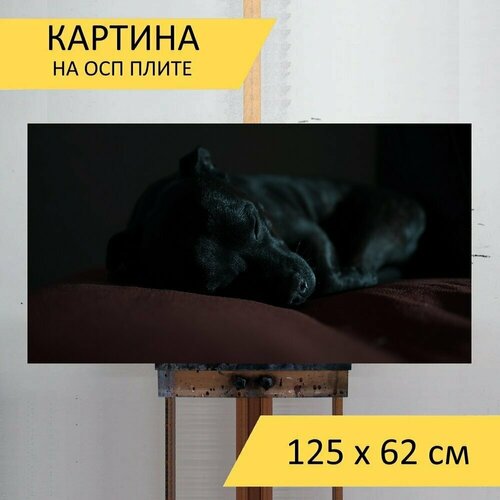Картина на ОСП 125х62 см. "Спящая собака, собака, сонный" горизонтальная, для интерьера, с креплениями