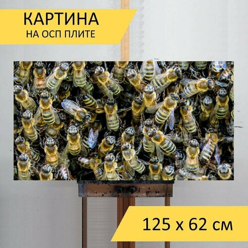 Картина на ОСП 125х62 см. "Животное, насекомое, пчела" горизонтальная, для интерьера, с креплениями