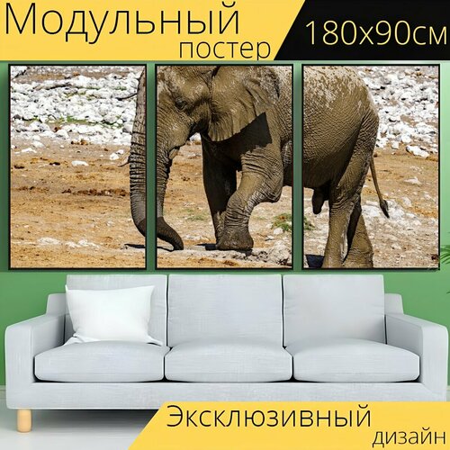 Модульный постер "Грязь, слон, животное" 180 x 90 см. для интерьера