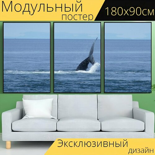 Модульный постер "Кит, море, океан" 180 x 90 см. для интерьера